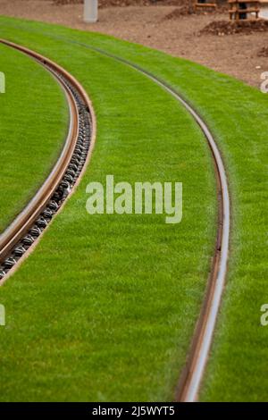 Tram tracks bend left in bright green grass Stock Photo - Alamy