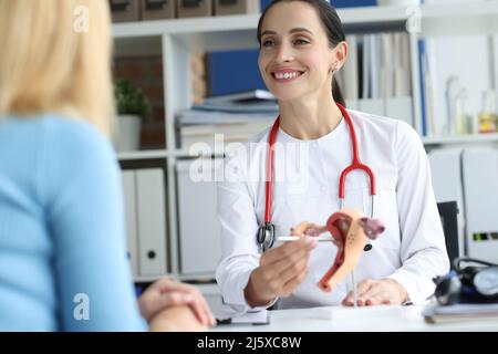 Doctor gynecologist showing and explaining female patients ...