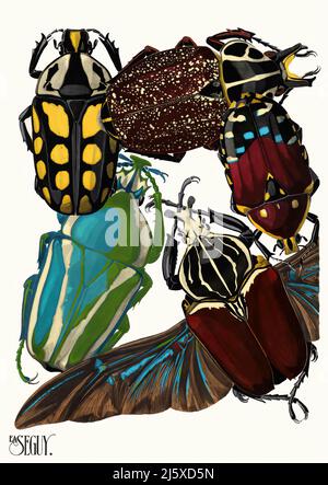 Art by Eugene Seguy - Insectes Plate 18 (1929 Stock Photo - Alamy