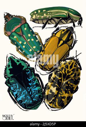 Art by Eugene Seguy - Insectes Plate 18 (1929 Stock Photo - Alamy