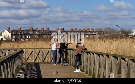 Birdwatchers and photographers at Cardiff Bay Wetland Reserve, Cardiff ...