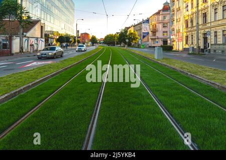 Green track. Grass covered tramway track. Greenery in the city ...