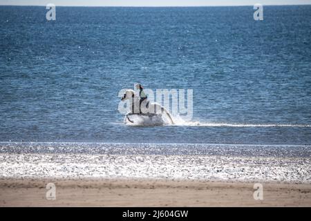 Ayr, Scotland, UK. 26th Apr, 2022. PICTURED: Aerial drone view looking ...