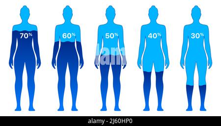 Body and water chart with water composition of human body symbols flat ...