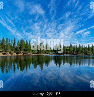 Panoramic scenic view of Lake Tabeaud surrounded by pine and cedar ...