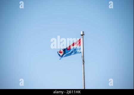 Royal Canadian Air Force Emblem - Eagle Rampant Maple Leaf - Motto Per ...