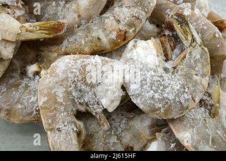 Freezer burned shrimp in the shell coated with ice crystals from ...