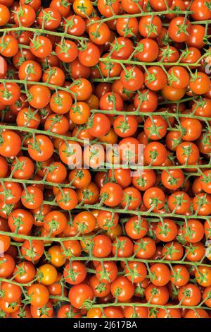 Close-up of assorted red cherry and vine tomatoes Stock Photo - Alamy