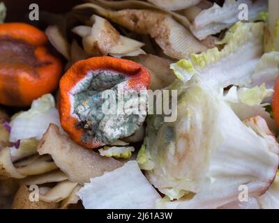 image shows how to compost collecting biodegradable waste in waste bin ...