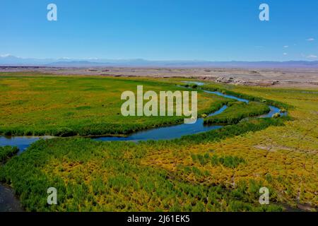 Laguna Inka Coya - Chile Stock Photo - Alamy