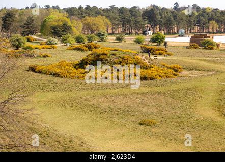Overview of Anglo-Saxon royal burial ground, Sutton Hoo, Suffolk ...