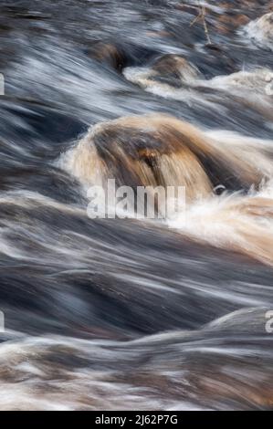 Around the UK - Gelt Woods, Cumbria Stock Photo - Alamy