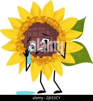 A cartoon illustration of the sun crying Stock Vector Image & Art - Alamy