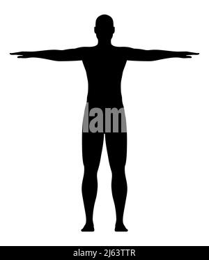 male bodybuilder pose silhouette Stock Vector Image & Art - Alamy