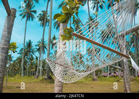 White cradle hold with palm tree on sea beach summer vacation Stock ...