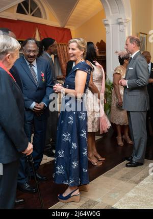The Earl and the Countess of Wessex talk to recipients during an ...