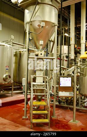 Processing of cranberries at the modern and state-of-the-art Ocean ...