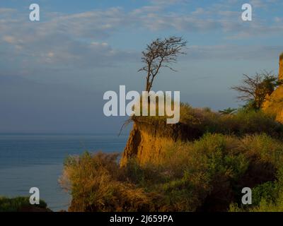 Steep cliff, seashore landscape. Cliff of clay and sea beach. Beautiful ...