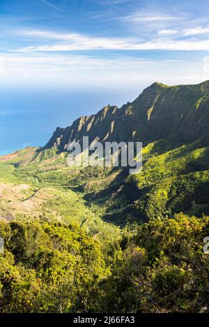 Blick vom Kalalau Lookout ins Kalalau Valley, Kokee State Park, Napali ...