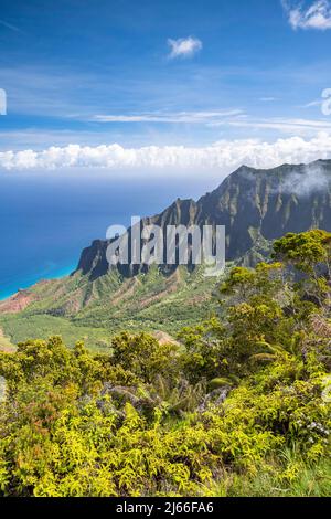Blick vom Kalalau Lookout ins Kalalau Valley, Kokee State Park, Napali ...