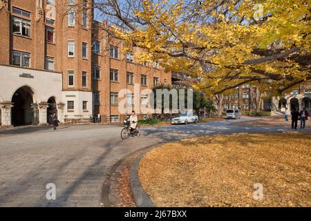University of Tokyo Campus, Tokyo, Japan Stock Photo - Alamy