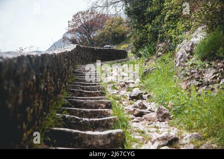 VIews of Kotor from the Ladder of Kotor in Montenegro Stock Photo - Alamy