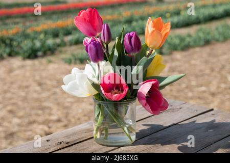 a bouquet of tulips on a garden table Stock Photo - Alamy