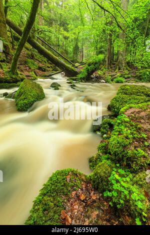 Waterfall Monbachtal, Black Forest, Baden-Wuerttemberg Stock Photo - Alamy