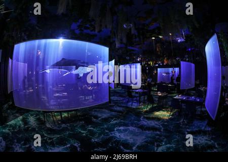 EPHEMERA THE FIRST IMMERSIVE RESTAURANT IN PARIS Stock Photo - Alamy