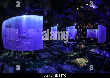 EPHEMERA THE FIRST IMMERSIVE RESTAURANT IN PARIS Stock Photo - Alamy