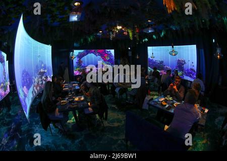 EPHEMERA THE FIRST IMMERSIVE RESTAURANT IN PARIS Stock Photo - Alamy