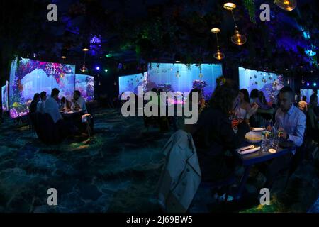 EPHEMERA THE FIRST IMMERSIVE RESTAURANT IN PARIS Stock Photo - Alamy