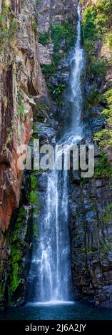 Hiking in the Brazilian cerrado, South America Stock Photo - Alamy