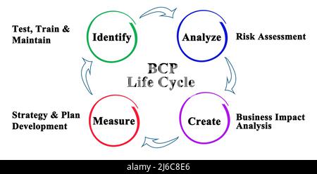 Life cycle of Risk Assessment Stock Photo - Alamy