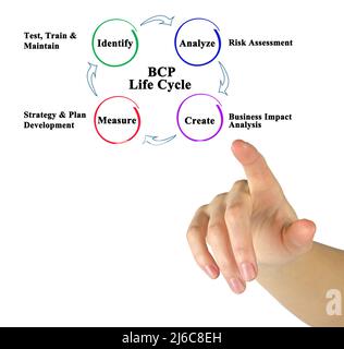 Business continuity planning (BCP) Life Cycle Stock Photo - Alamy