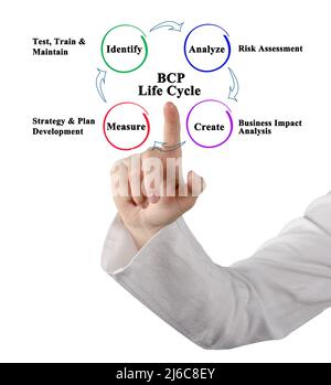 Business continuity planning (BCP) Life Cycle Stock Photo - Alamy
