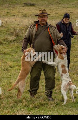 Romanian truffle-hunter and his dogs in old woodland in autumn, near ...