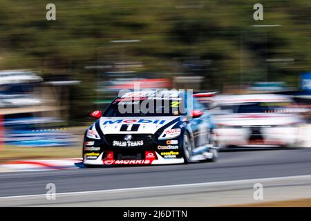 Nick Percat of Mobil 1 NTI Racing during Race Four of the Supercars ...