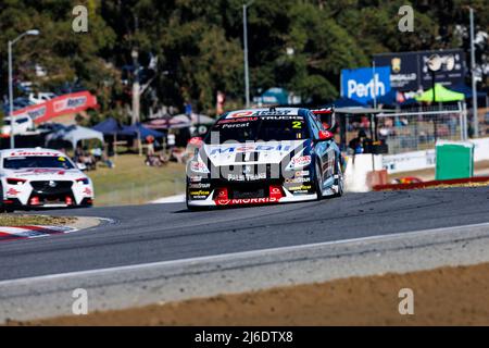 Nick Percat of Mobil 1 NTI Racing during Race Four of the Supercars ...