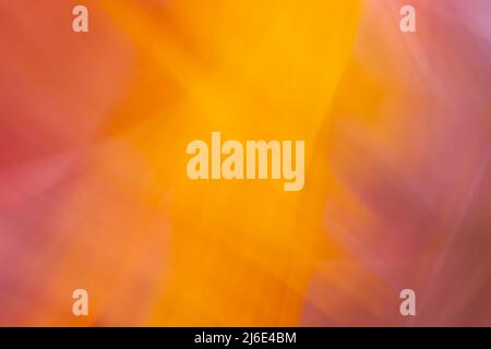 Banner with a colourful flowing waves design Stock Photo - Alamy