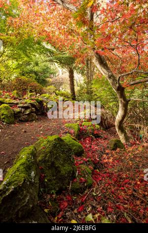 Spectacular water droplets on flowers and leaves Stock Photo - Alamy