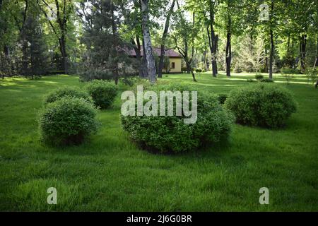 Peaceful Garden. Beautiful Garden with a Freshly Mowed Lawn ...