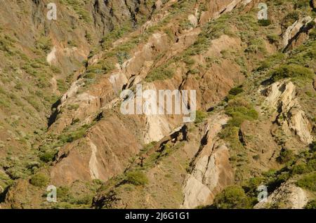 Hillside showing its different strata Stock Photo - Alamy