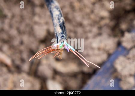 damaged underground cables when digging, snapped, broken power line cable, wiring, broken power ...