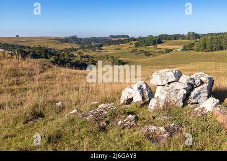 Rocks and Araucaria forest in farm field, Cambara do Sul, Rio Grande do ...