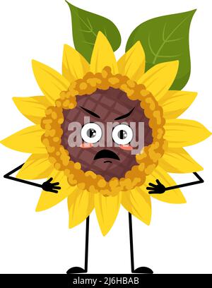 Sun cartoon character with angry face expression on white background ...
