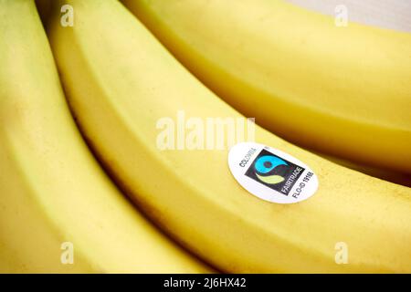 Bunch of Bananas with Fair Trade sticker Stock Photo - Alamy