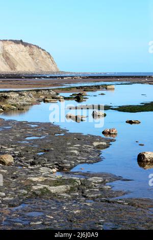 The rock pools and glistening sea of Robin Hood's Bay, Yorkshire, UK ...
