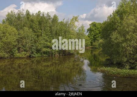 Seven Island Pond on Mitcham Common Stock Photo - Alamy