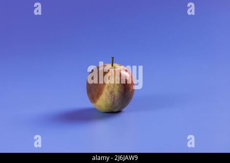 Rotten apple on violet background - mold growth and food spoilage ...